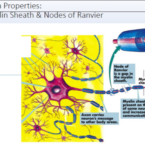 sjdgd AI Voice Generator | Jammable AI Covers