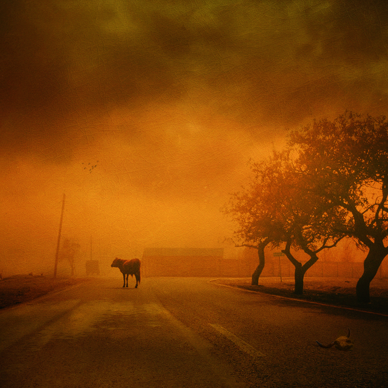 Tango AI Voice Generator | Jammable AI Covers