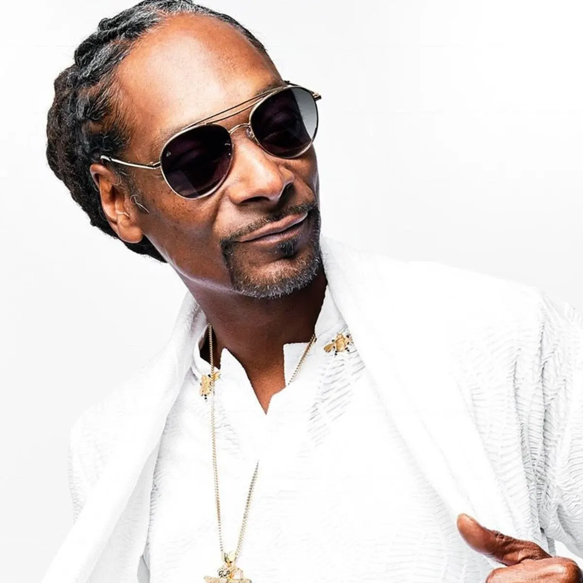 Snoop Dogg Model AI Voice Generator | Jammable AI Covers