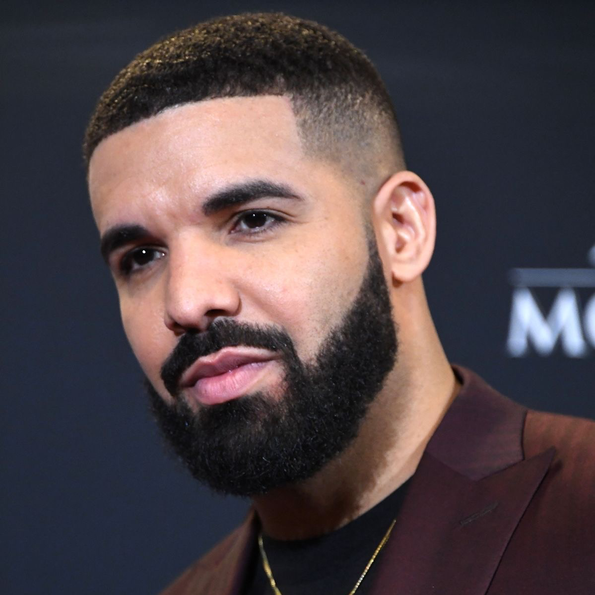 Drake (Talking only) AI Voice Generator | Jammable AI Covers