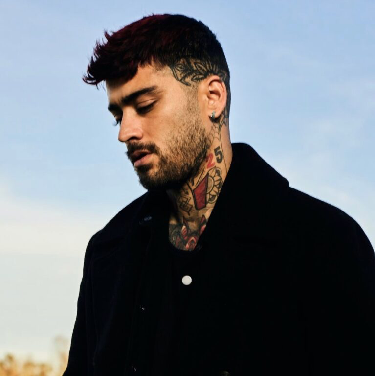Zayn M v1 AI Voice Generator | Jammable AI Covers