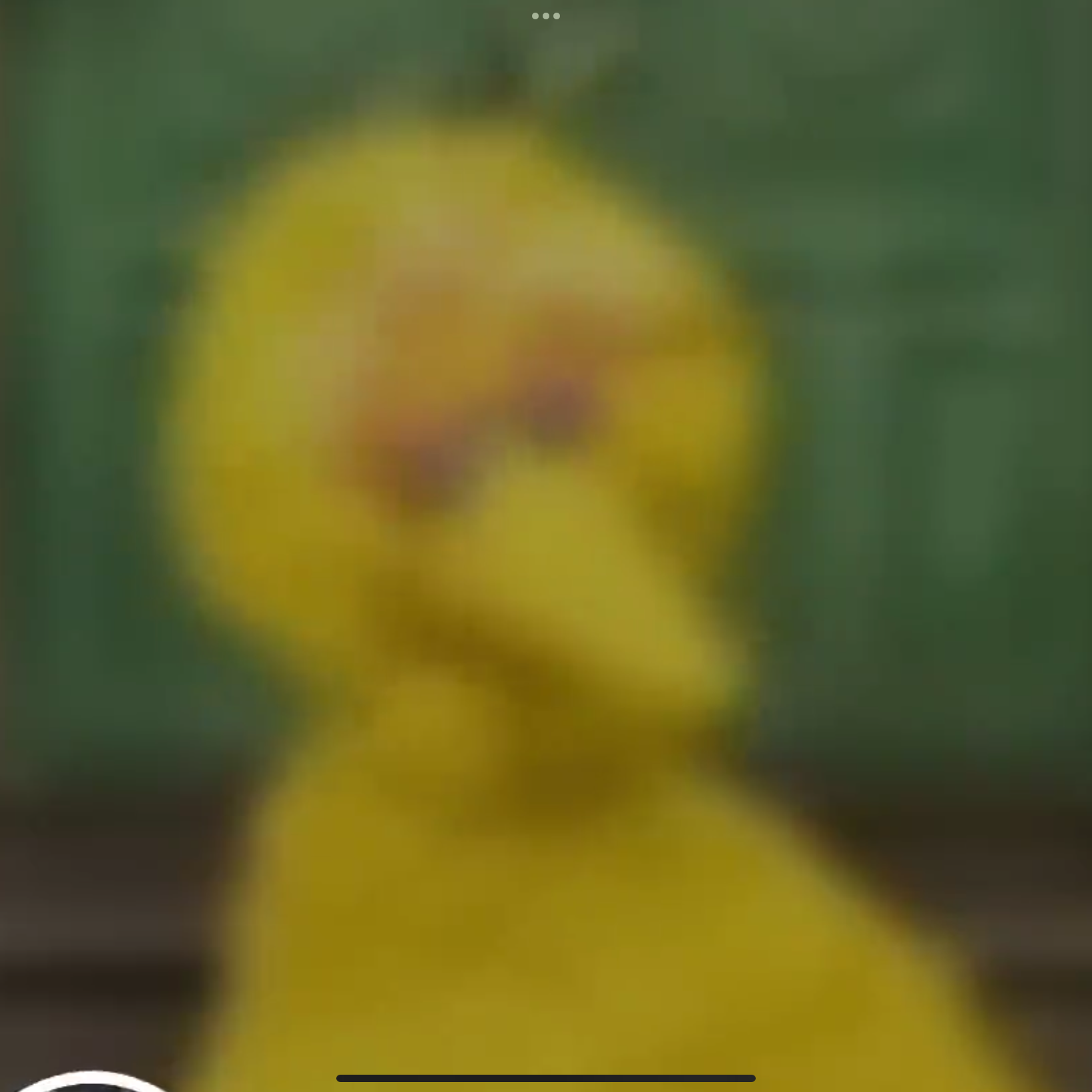 Dad kridel 2 The Big Bird Fan 1999 AI Voice Generator - 333+ Dad kridel ...