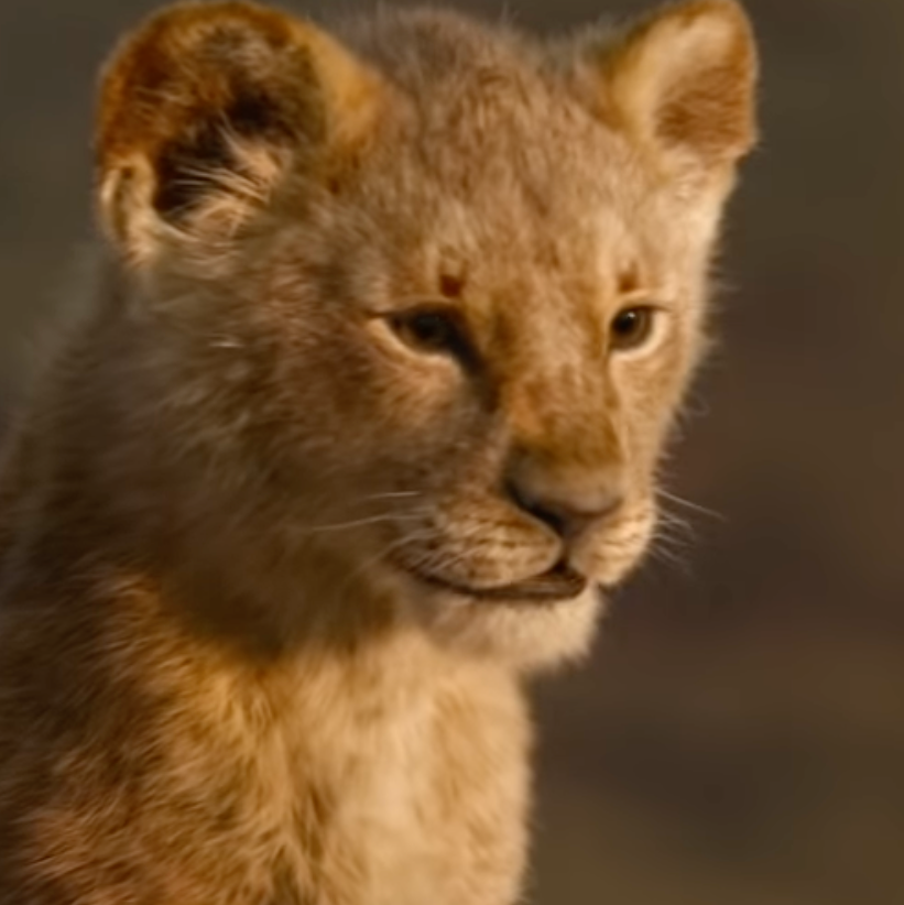 Young Simba 2019 Lion King AI Model AI Voice Generator | Jammable AI Covers